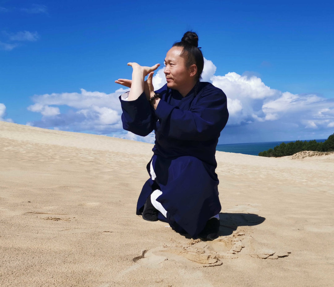 Wudang Gong Dao | Enseignements, Wudang, Maître Yuan Limin